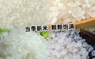 东北大米价格走势_2024年还会涨吗