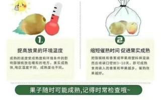红心猕猴桃怎么催熟_红心猕猴桃催熟方法