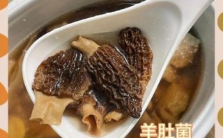 羊肚汤的做法_羊肚汤怎么炖不腥