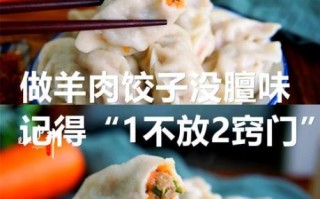 羊肉馅饺子怎么调馅_羊肉饺子馅去腥增香的秘诀