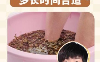 艾叶草泡脚的功效与作用_艾叶草泡脚多久见效