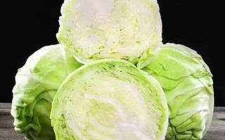 铁头包菜怎么做好吃_铁头包菜的家常做法