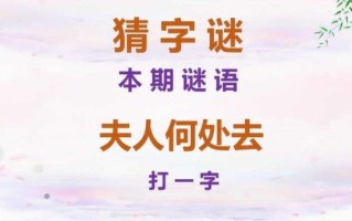 家常便饭打一数字是多少_谜底解析与趣味延伸