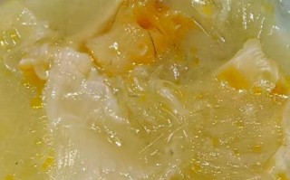 清炖鱼翅怎么做_清炖鱼翅需要炖多久