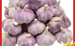 中牟大蒜今日价格多少钱一斤_中牟大蒜最新行情