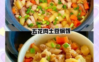 土豆焖饭怎么做_土豆焖饭家常做法