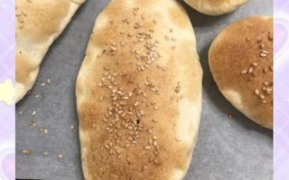 烤箱烤饼的做法大全_烤箱烤饼怎么做好吃