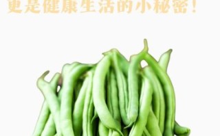 四季豆的营养价值与禁忌_四季豆怎么吃不中毒