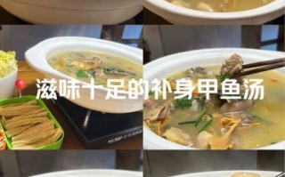 甲鱼怎么炖汤好喝_甲鱼的做法步骤详解