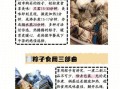 粽子怎么煮熟_粽子要煮多久才熟透