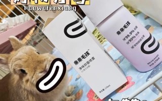 兔子怎么养不臭_兔子除臭最有效的方法