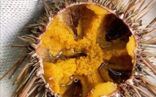 海胆图片怎么吃_海胆刺身处理步骤
