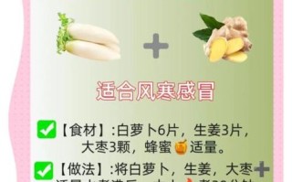 熟白萝卜的功效与作用_怎么吃最养人 熟白萝卜的功效与作用_怎么吃最养人