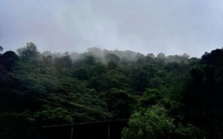 清远漂流哪里最好玩_清远漂流门票多少钱