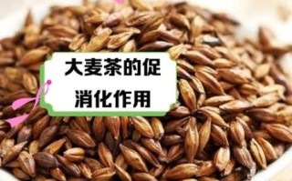 冰镇大麦茶能减肥吗_冰镇大麦茶的功效与作用