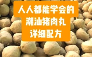 潮汕猪肉丸子怎么做_正宗配方比例是多少