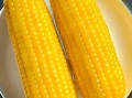 减肥吃粘玉米热量高吗_粘玉米减肥能吃吗