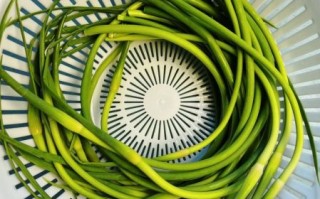 家常蒜苔怎么腌制好吃_蒜苔腌制多久可以吃