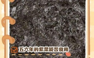 干紫菜需要泡吗_紫菜泡发多久