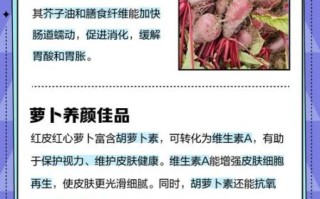 红皮萝卜的营养价值_红皮萝卜怎么吃最营养