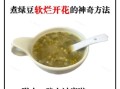 绿豆怎么煮容易烂_绿豆需要提前泡多久