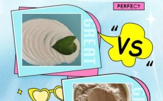 发酵粉的主要成分是小苏打吗_发酵粉和小苏打的区别