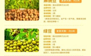 芽苗菜怎么种_如何种得又长又嫩