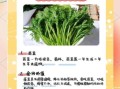 茼蒿菜有什么营养价值_茼蒿菜怎么吃最健康