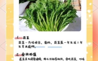 茼蒿菜有什么营养价值_茼蒿菜怎么吃最健康