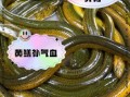 女人吃黄鳝有什么好处_女人吃黄鳝会不会发胖