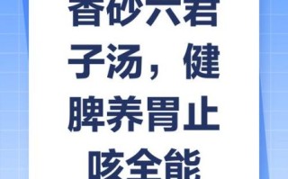 香砂六君子汤的功效与作用_香砂六君子汤适合什么人