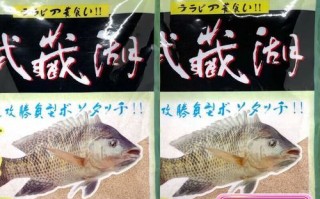 钓大罗非用什么饵料_钓大罗非饵料配方