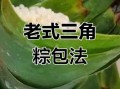 三角粽子怎么包_三角粽子慢动作教程
