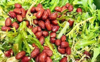 沙拉苦菊怎么凉拌好吃_苦菊凉拌要不要焯水