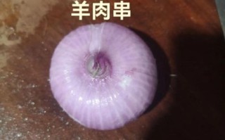 家庭羊肉串怎么腌制_羊肉串腌制多久才入味