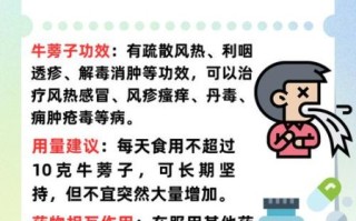 牛蒡子的功效与作用_牛蒡子能长期吃吗