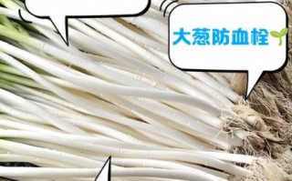 生吃大葱的功效与作用_生吃大葱的营养价值