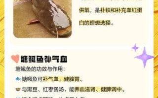 塘鲺鱼怎么做好吃_塘鲺鱼的功效与作用
