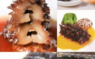 大连海参品牌哪家好_大连海参品牌排名前十名