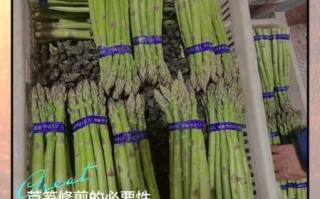 芦笋怎么切_芦笋切段技巧