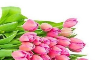 恸怎么读_恸与痛的区别