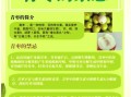青枣的功效与禁忌_孕妇能吃吗