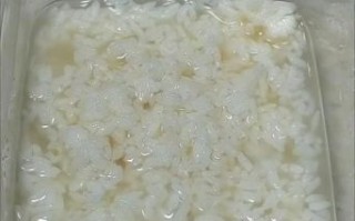 甜酒酿的制作方法_家庭版甜酒酿怎么做