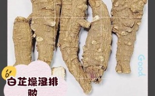 长期喝白芷水有什么副作用_白芷水长期饮用危害