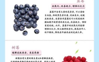 蓝莓怎么吃最好吃_蓝莓的10种吃法有哪些