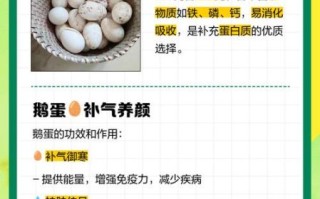 鹅蛋的营养价值_鹅蛋的药用价值