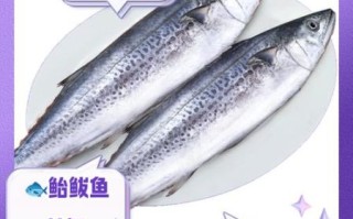 鲅鱼的营养价值_鲅鱼的功效与作用
