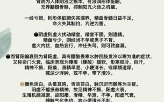 民间补肾偏方有哪些_肾虚怎么食补最快