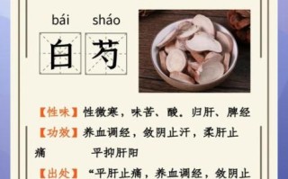 白芍的功效与作用有哪些_白芍主治什么病