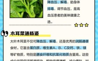 木耳菜图片功效与作用_孕妇能吃吗